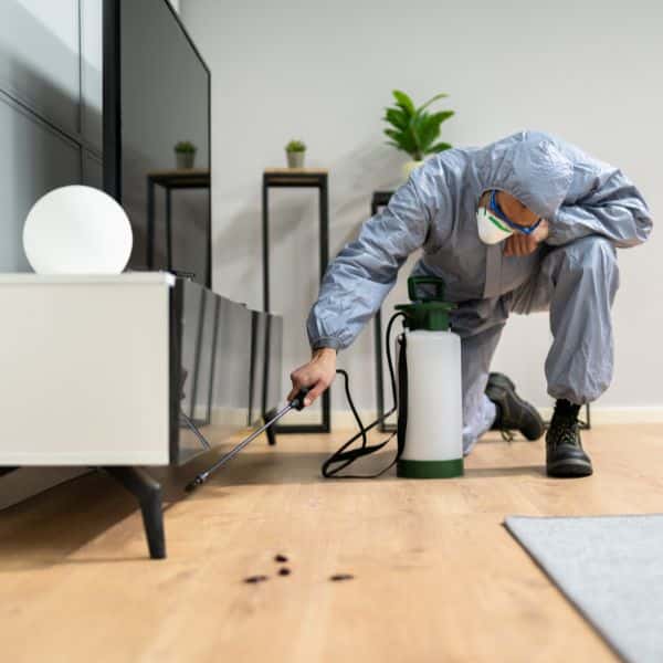 Best #1 Residential Pest Control Services | Waltham Pest Control ...