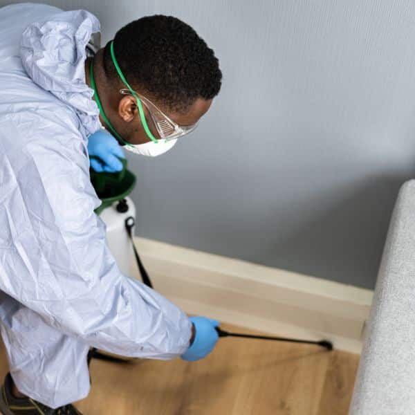 #1 Best Exterminator Middleton MA | Waltham Pest Control